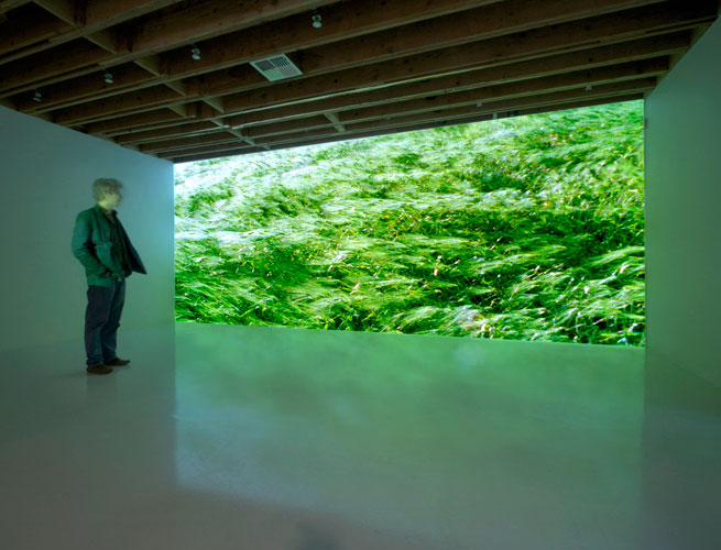 Rebeca Mendez (Artist) in Los Angeles, CA (California) from re-title.com